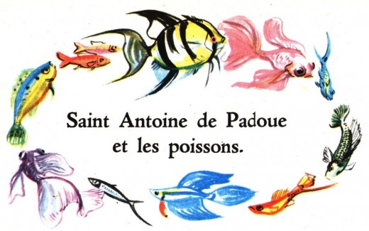 Saint Antoine de Padoue et les poissons | Et maintenant une histoire