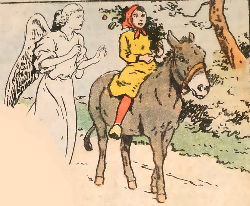 Le beau rameau de buis | Et maintenant une histoire